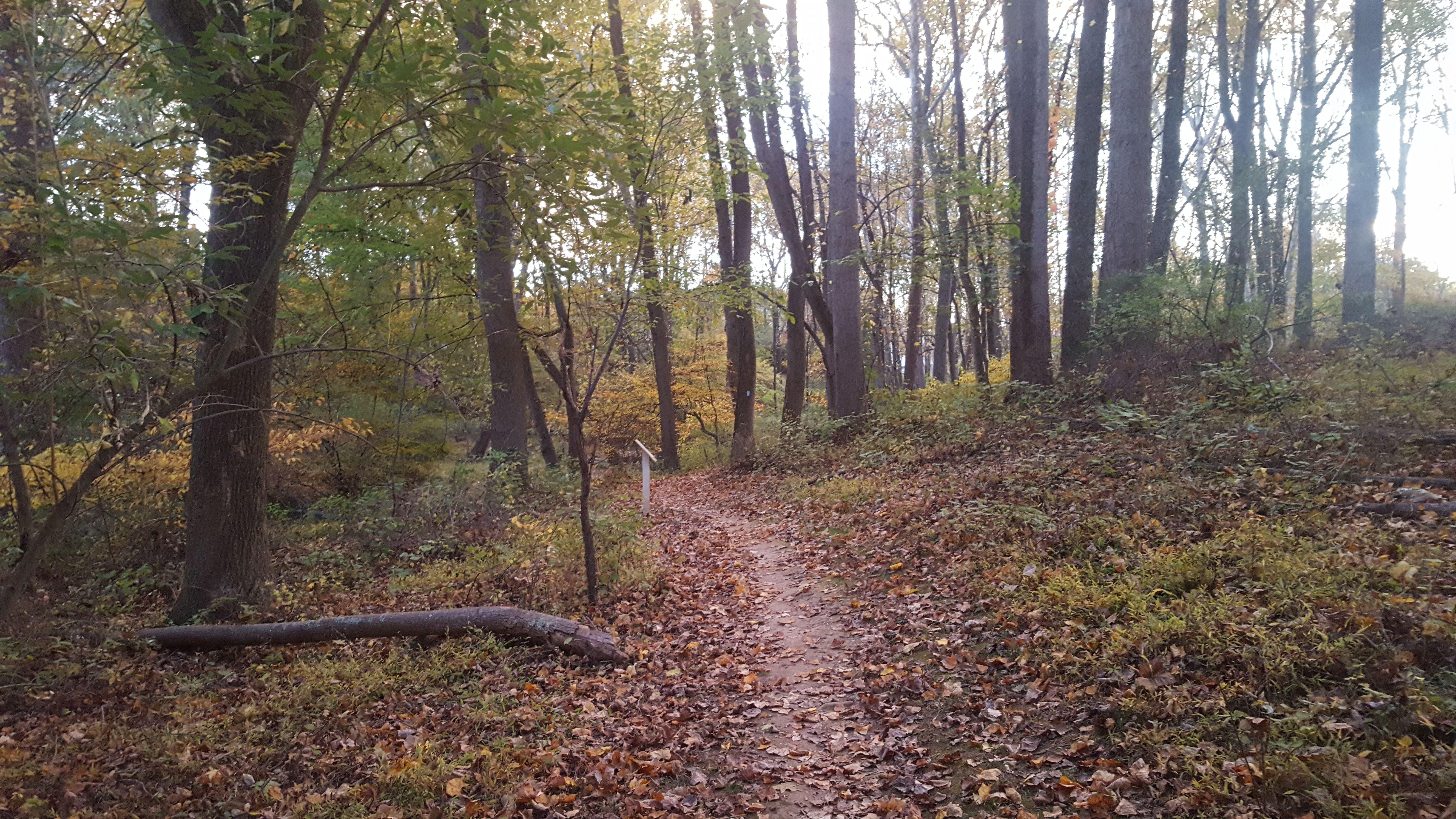 Master Plan Amendment: Parks, Recreation & Culture – Muddy Branch Alliance